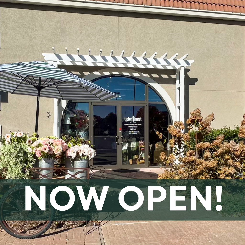Northwest Arkansas Florist | Flower, Plant, Gift Delivery – Tipton & Hurst